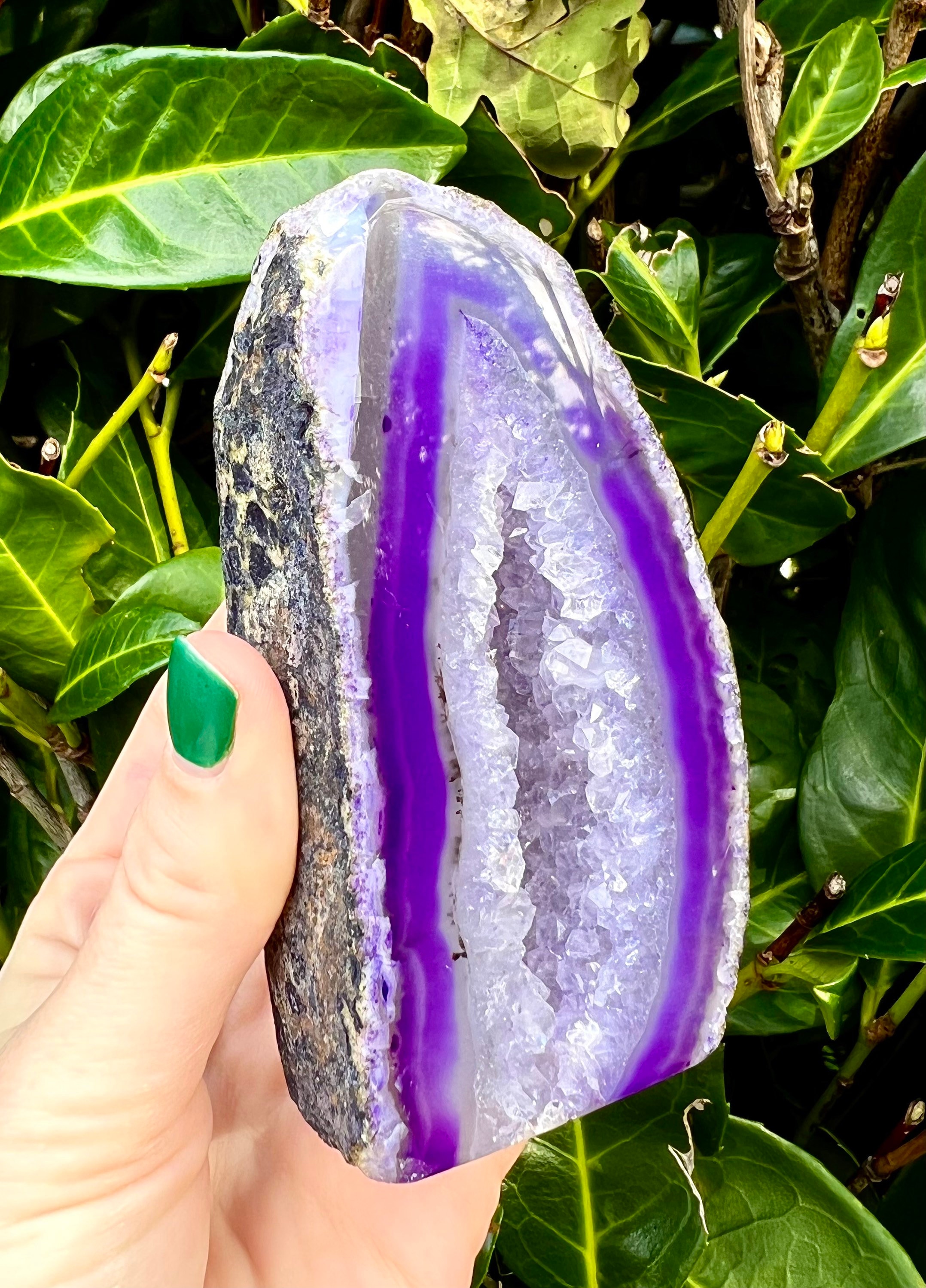 Purple Agate Geode Brazilian Agate Geode Purple Agate - Etsy UK