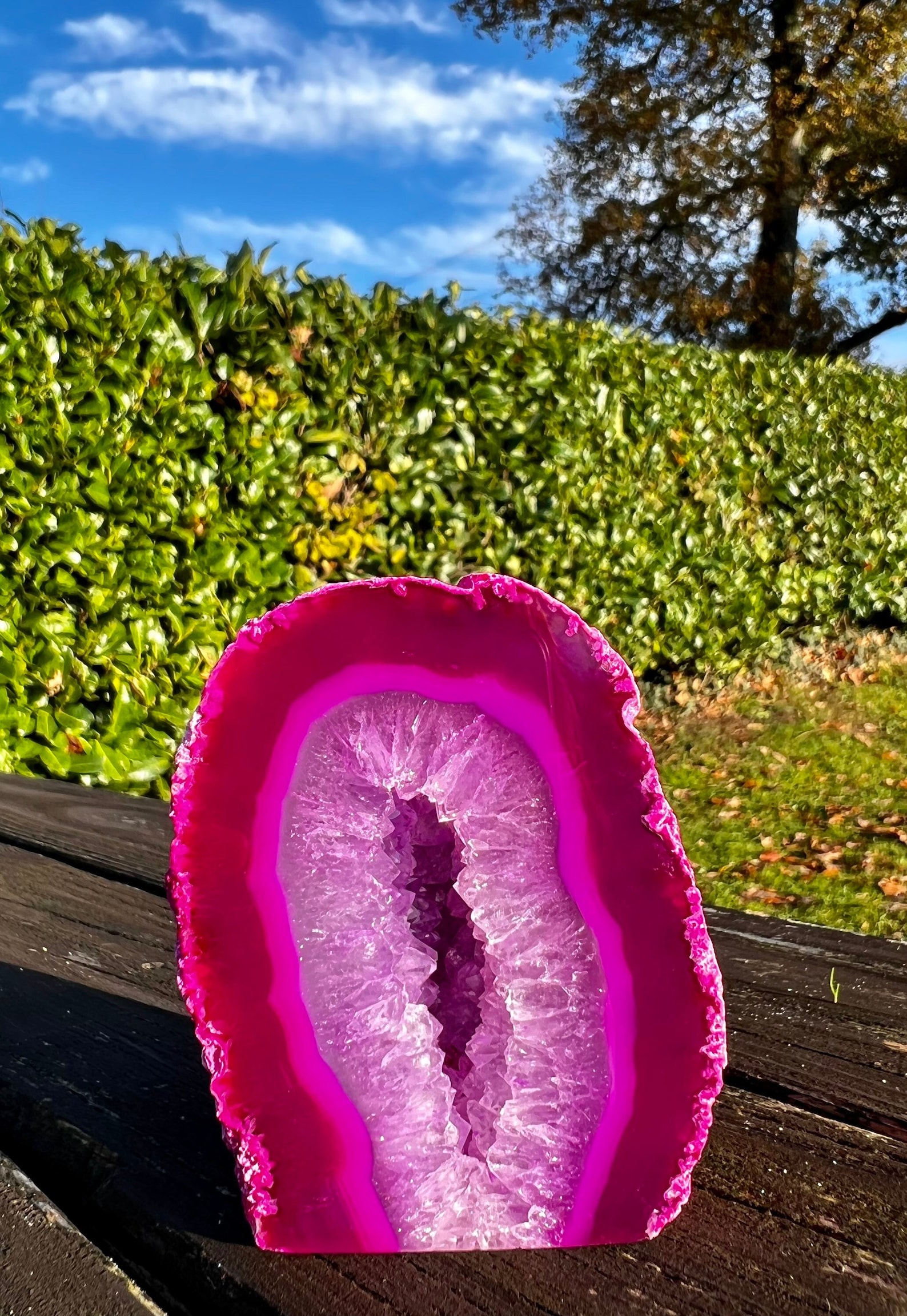 Vibrant Pink Brazilian Agate Geode, Natural Crystal Gift - Etsy