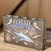 Fossil Collection Kit, Contains 15 Real Fossils, Fossil Ammonite. - Etsy