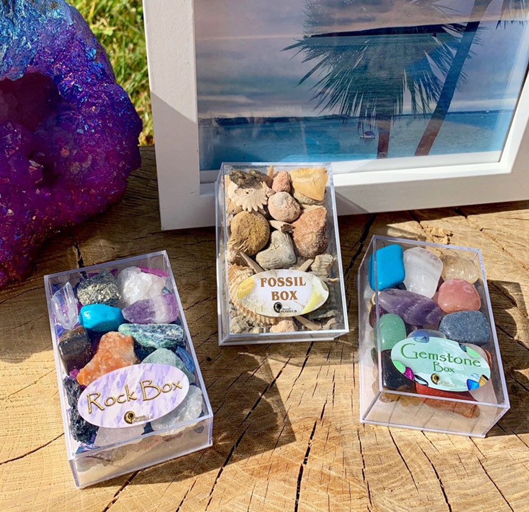 Gemstone, Fossil and Rock Boxes. Small Gemstone Boxes, Fossils, Rocks ...