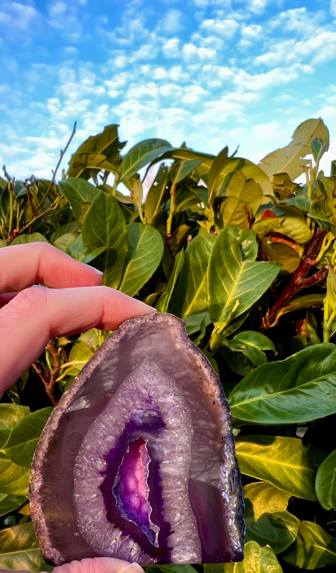 Purple Agate Geode Brazilian Agate Geode Purple Agate | Etsy UK