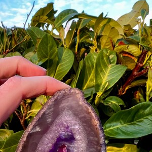 Purple Agate Geode Brazilian Agate Geode Purple Agate - Etsy