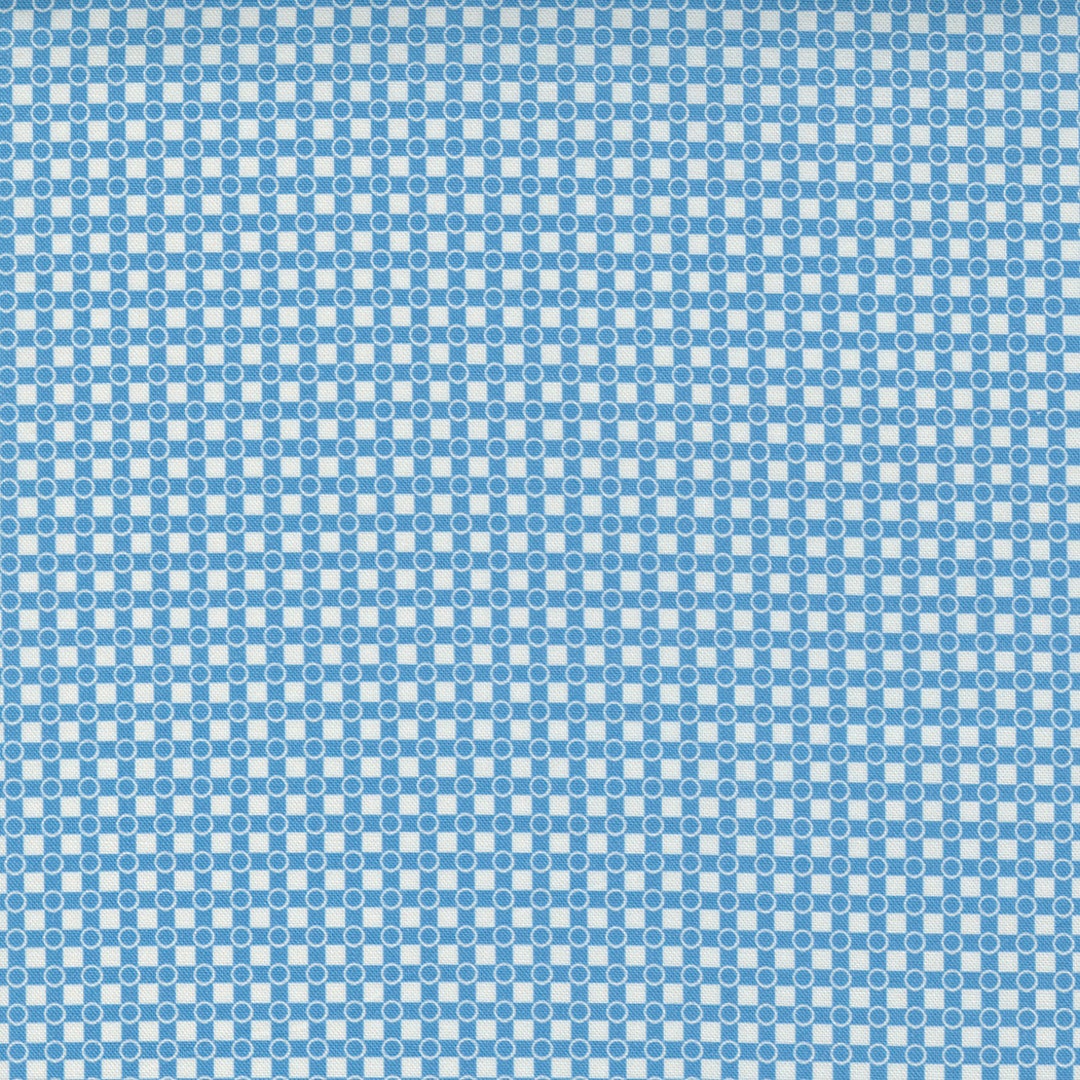 Story Time Dotted Check Blue 21794 17 - Etsy