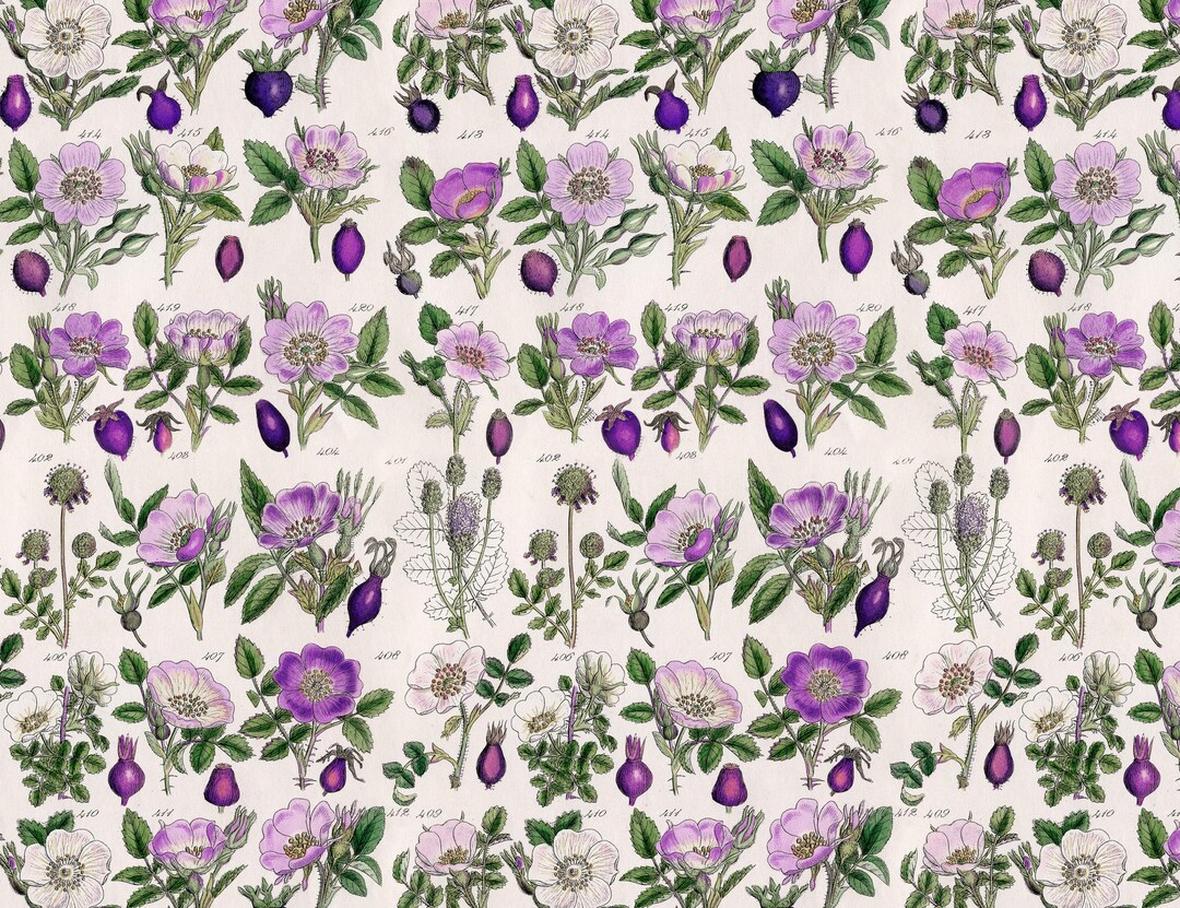 Tim Holtz Eclectic Elements Purple Palette - Botanical PWTH306.PURPLE ...