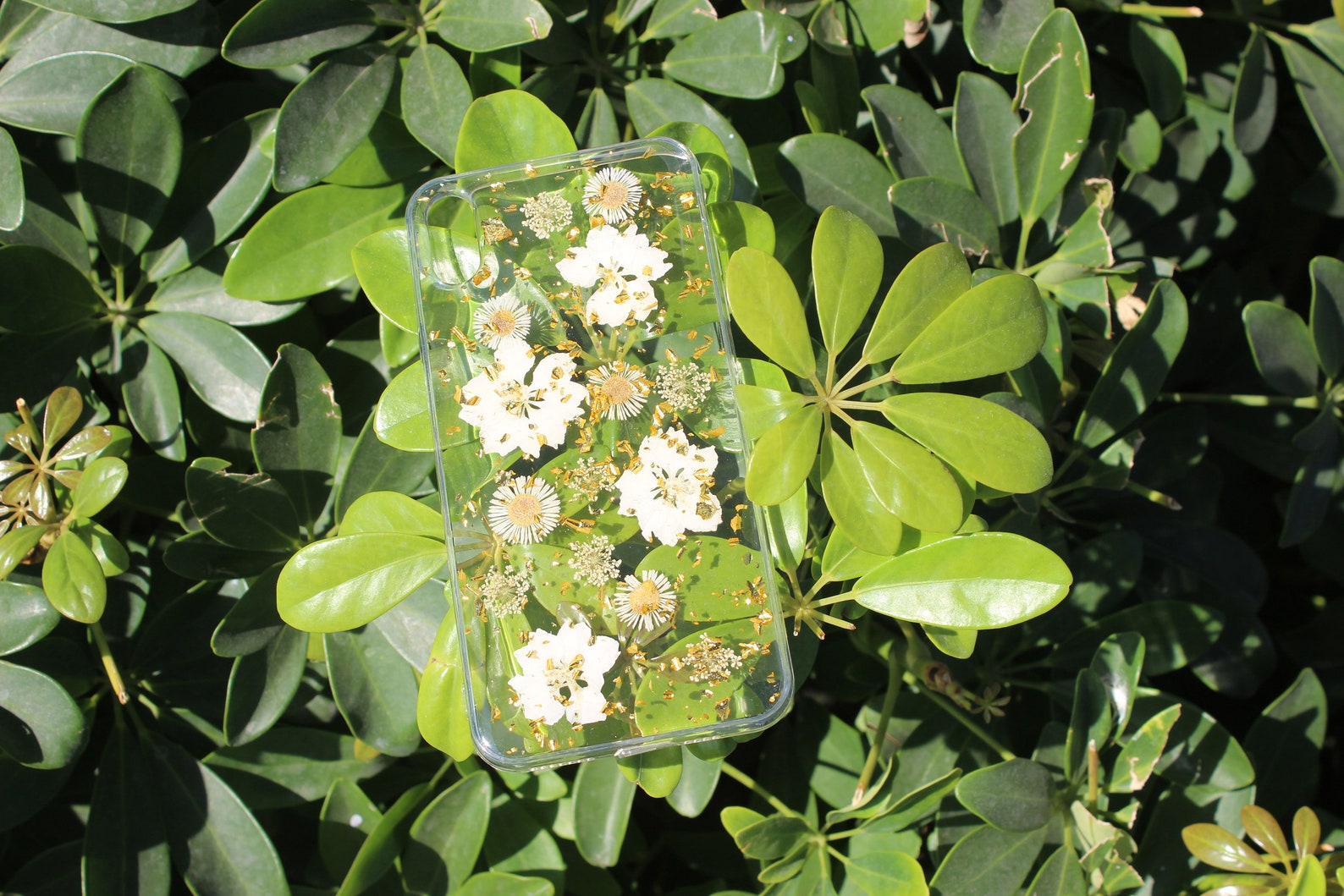 Pressed Real Dried Flower Phone Caseiphone 7 8 Plus X Xr Xs - Etsy