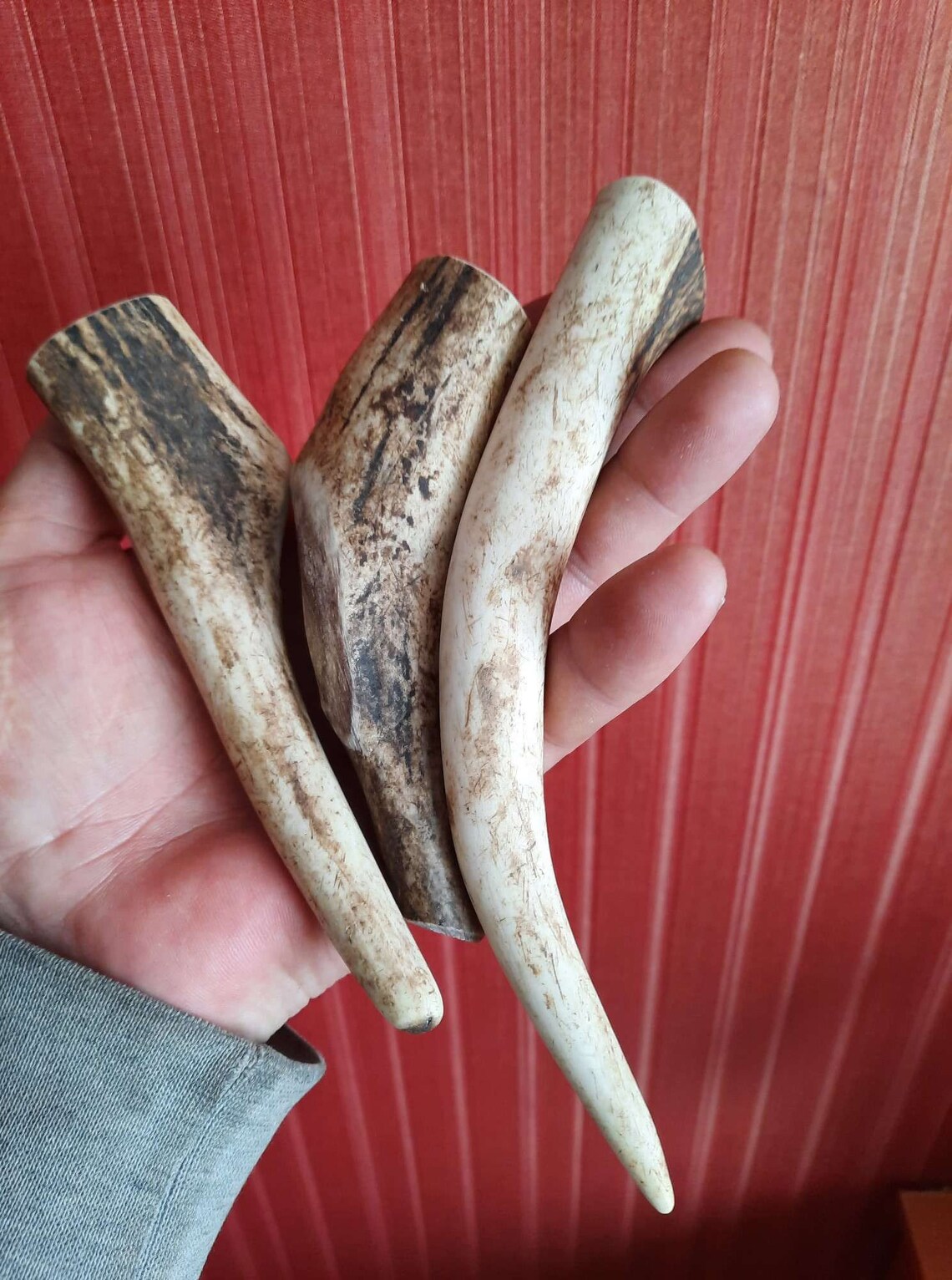 Deer Horn Knife Handle. Deer Horn Scales fool Naturaler14. - Etsy