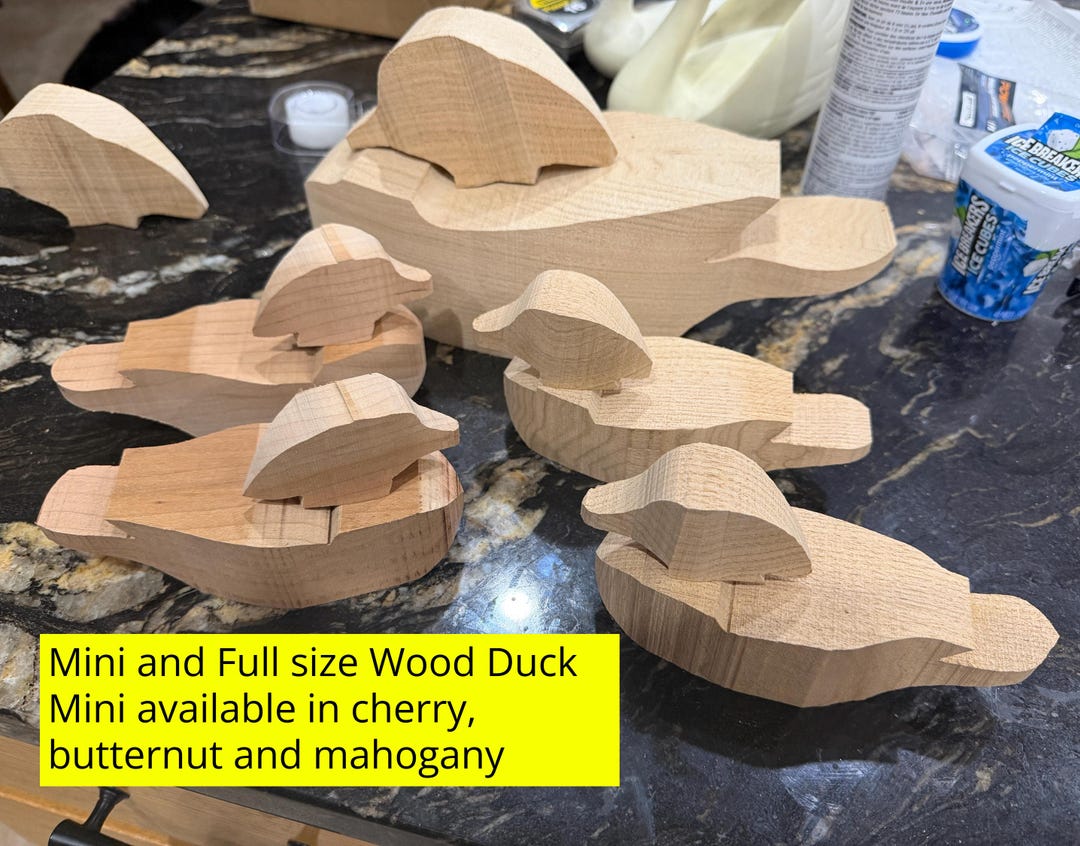 Wood Carving - Various Duck Decoy Blanks – Teal, Pintail, Loon, Mallard ...