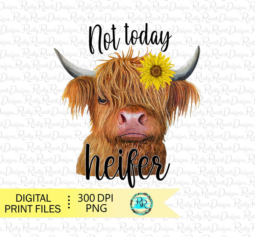 Not Today Heifer Png, Highland Cow Sublimation Designs, Funny Cow ...