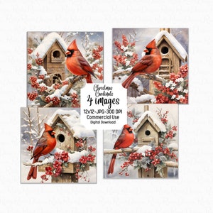 Cardinal Digital Paper, Scrapbook Digital Paper, Cutting Board ...