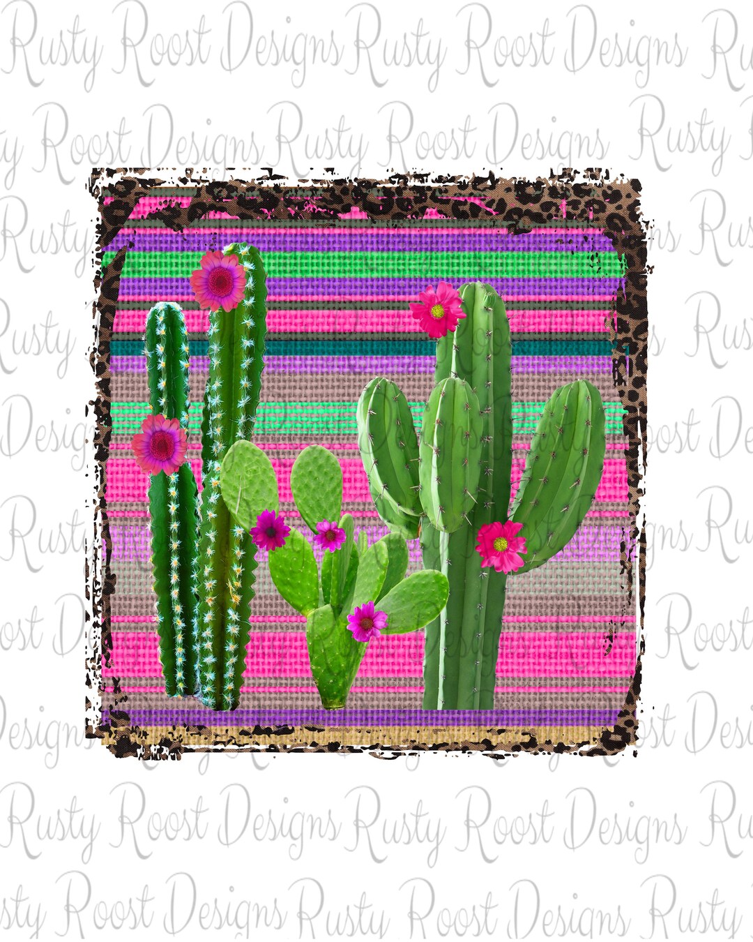 Cactus Sublimation Designs Downloads, Cactus Png, Digital Download ...