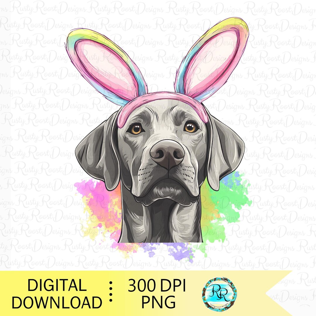 Silver Lab Png, Labrador Retriever With Bunny Ears Png, Easter ...
