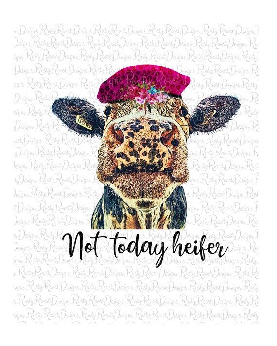 Not Today Heifer Png Cow Sublimation Designs Downloads | Etsy