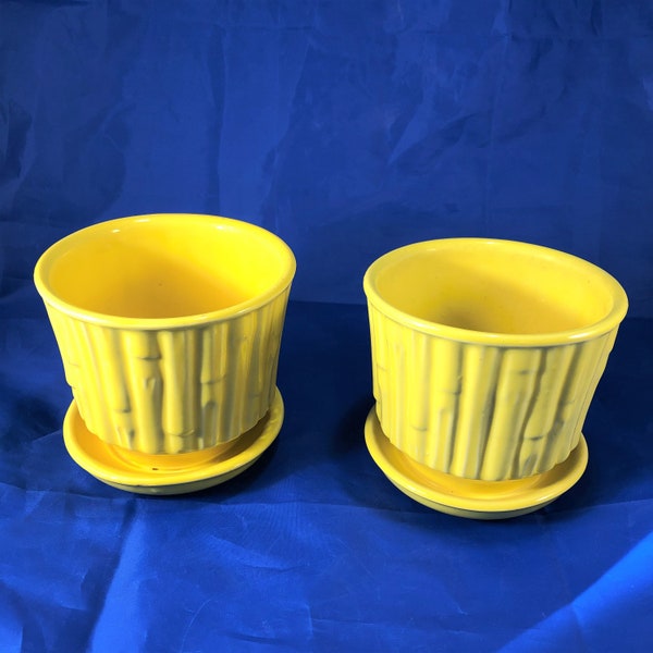 Bamboo Pottery - Etsy