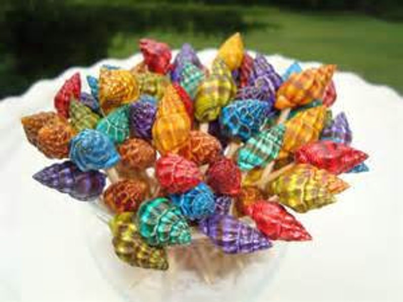 Bulk Dyed Tiny MULTI COLOR Seashells for Sailor Valentine Craft Wedding ...