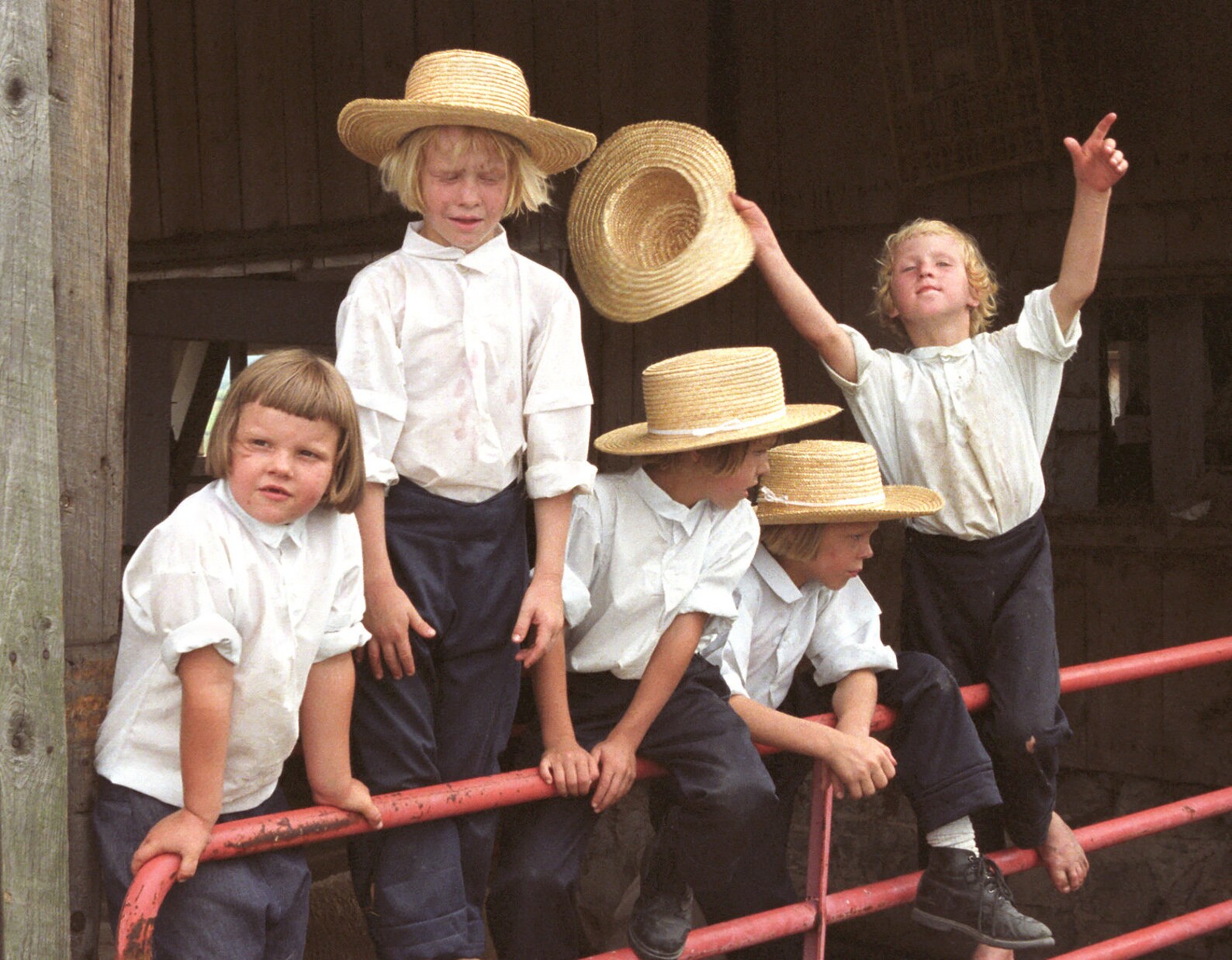 Amish Photography, “bound for Greatness” Amish Print, Art Print, Amish ...