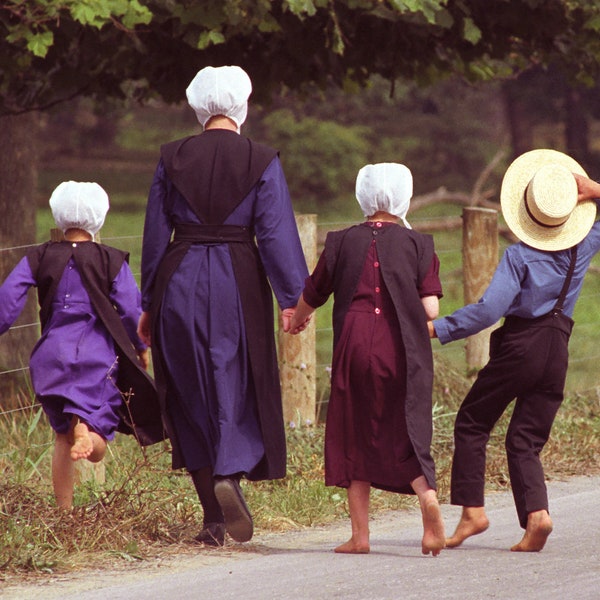 Amish - Etsy