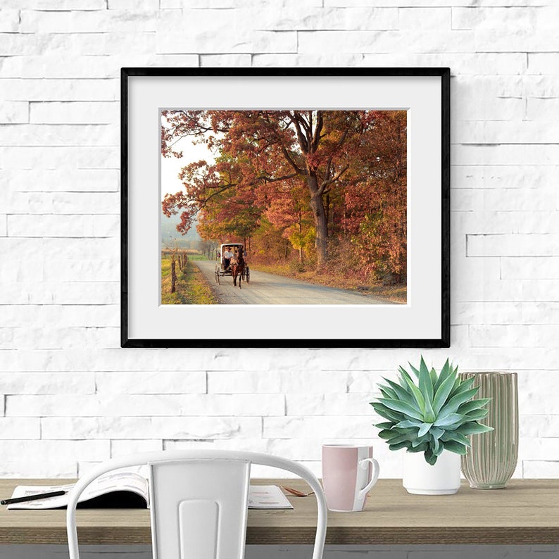 Amish Photography, “framed in Foliage” Amish Print, Fine Art Print ...