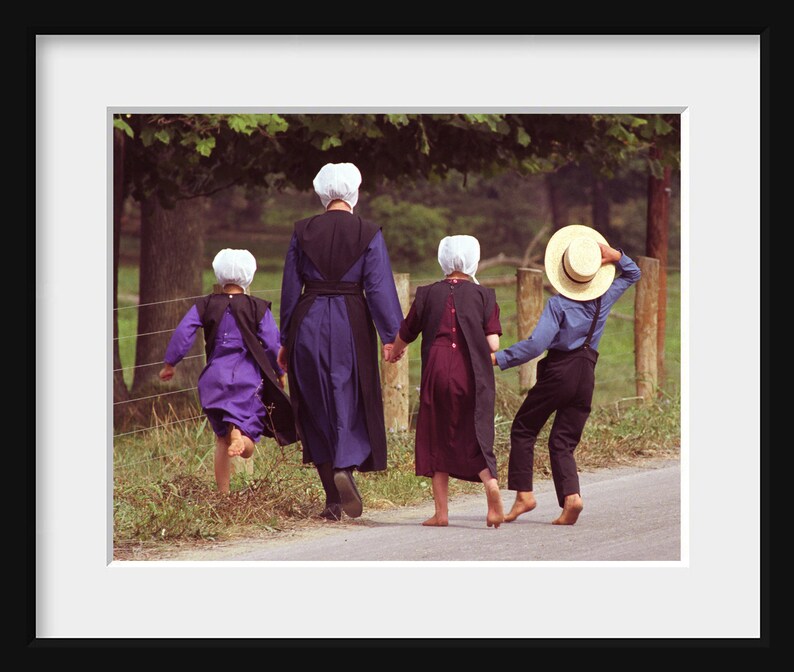 Amish Photography, “summer Stroll”, Amish Print, Fine Art Print, Fine ...