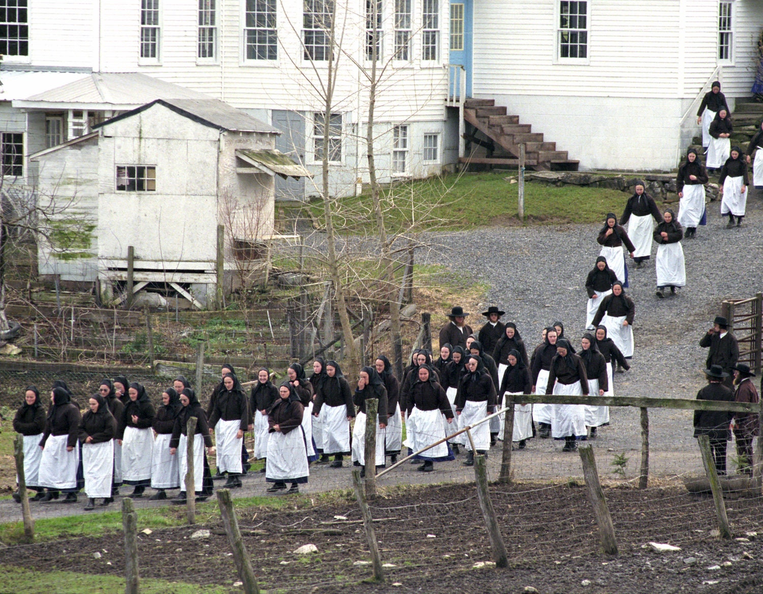Fotografía amish, Wedding Walk, impresión amish, impresión de bellas ...