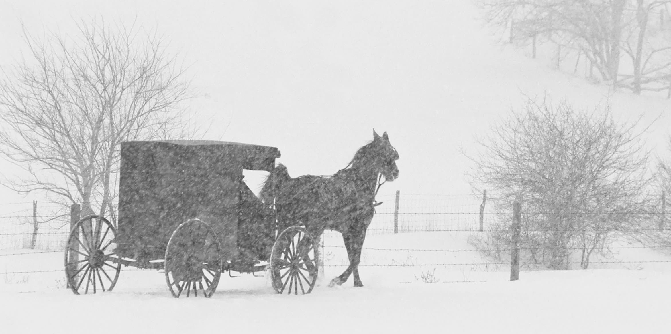 Amish Photography Blanket of White Amish Print Fine Art | Etsy