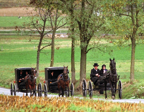 Amish Photography Sunday Travelers Amish Print Fine Art | Etsy