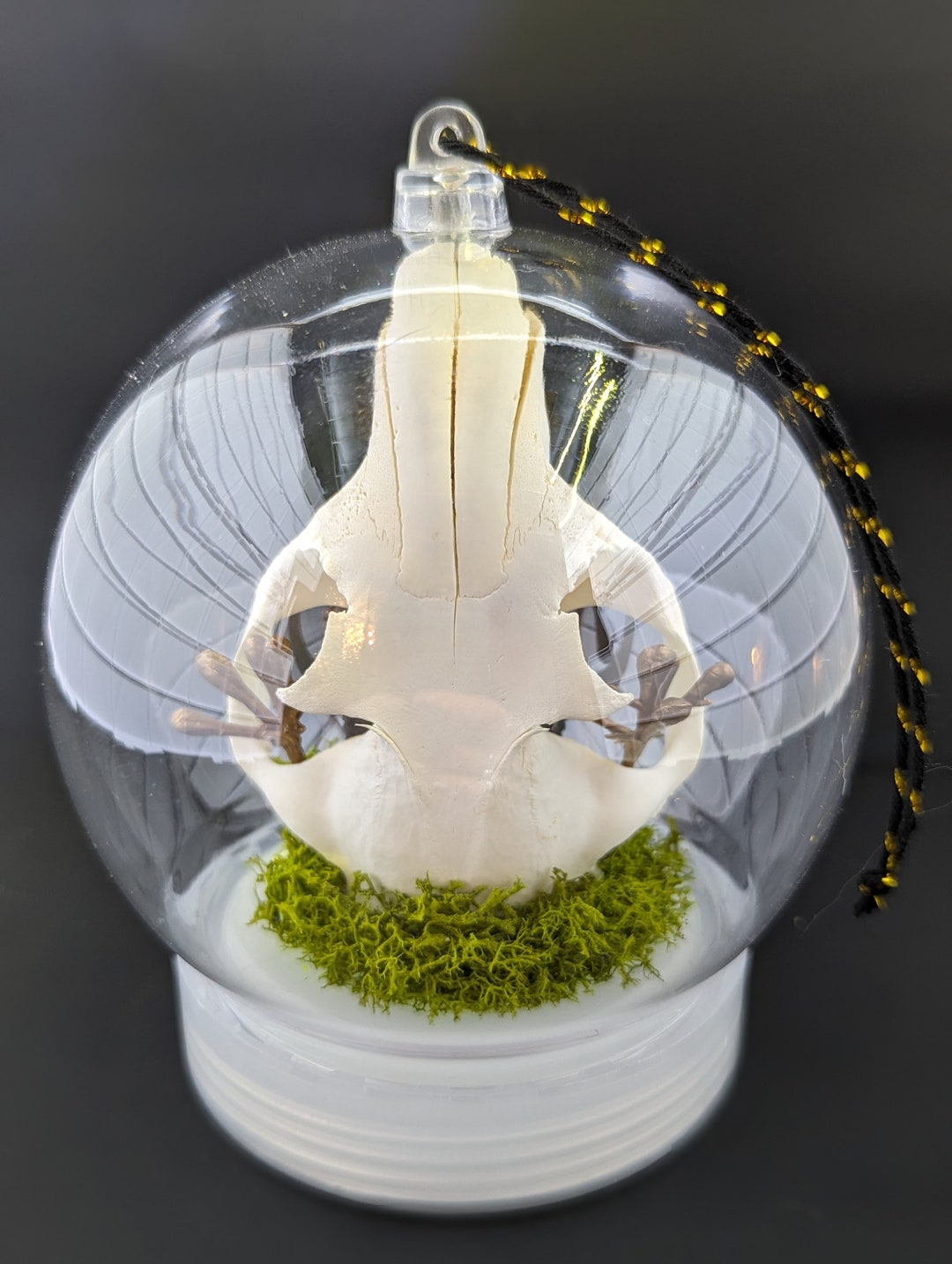 Skull, Jaws, & Mummified Legs Oddities Ornaments - Etsy