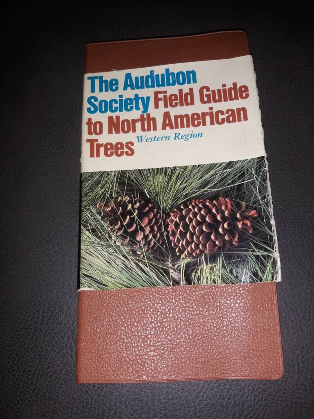 Field Guide to North American Trees 1st Edition - Etsy