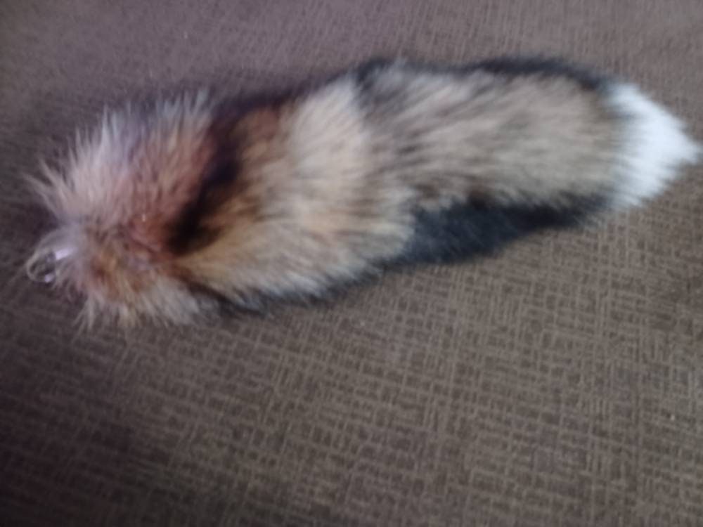Red Fox Tail Keychain - Etsy