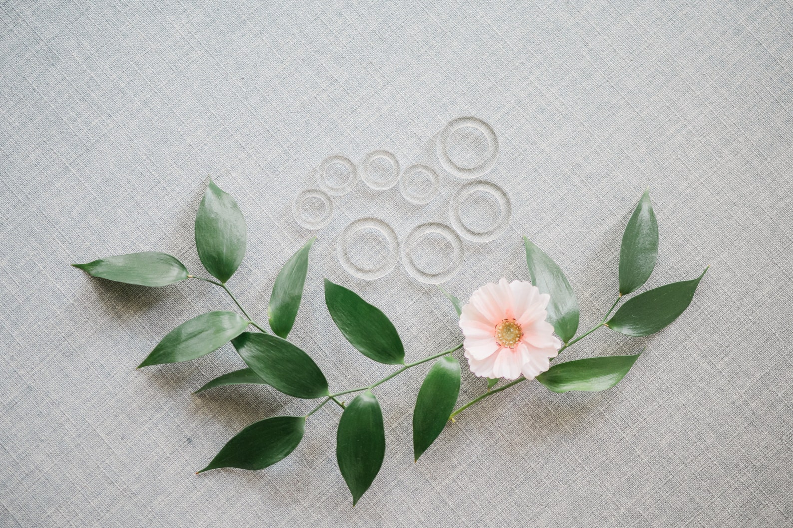 WEDDING Floral Flat Lay Riser Kit | Set of 8 Acrylic Floral Styling ...