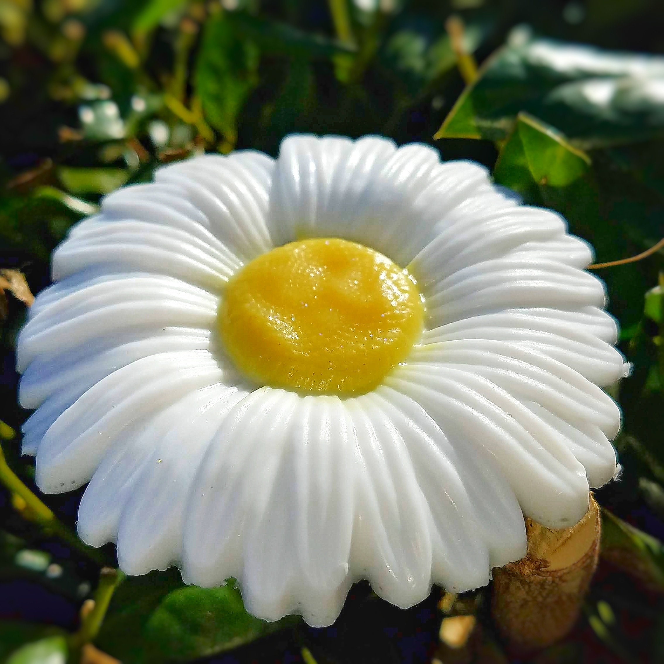 6 Daisy Soap Favors 6 Wedding soap favors Daisy Bridal | Etsy