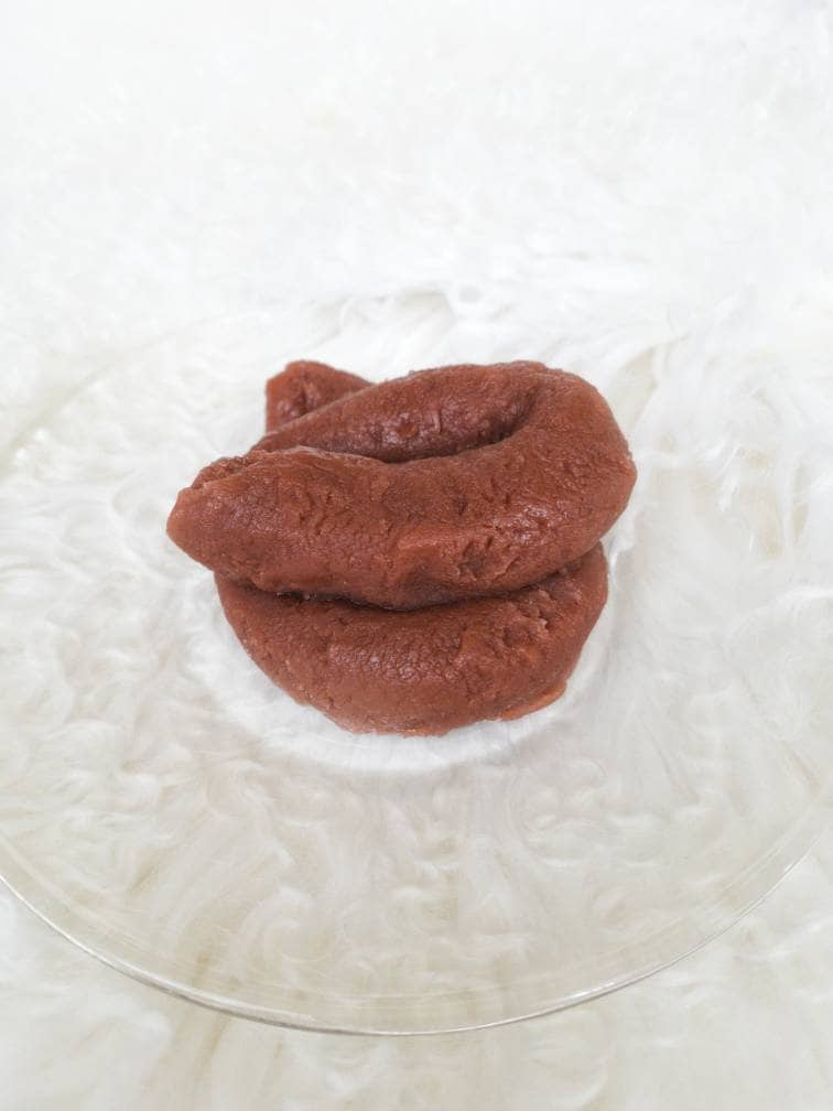 Teen Stocking Soap Fake Doggy Poo Soap Poop Soap Gag or - Etsy