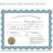 Alabama Marriage Certificate Template | Notary Section | Printable PDF ...