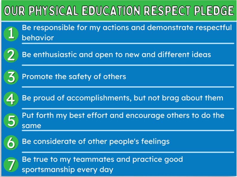 PE Respect Pledge Anchor Chart - Etsy