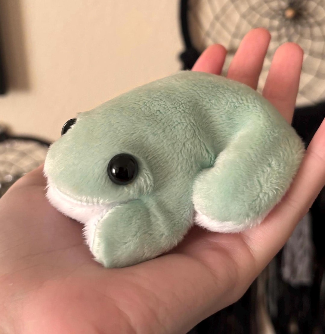 Weighted Frog Plushie Beanie Frog, Multiple Colors, Handmade Frog ...
