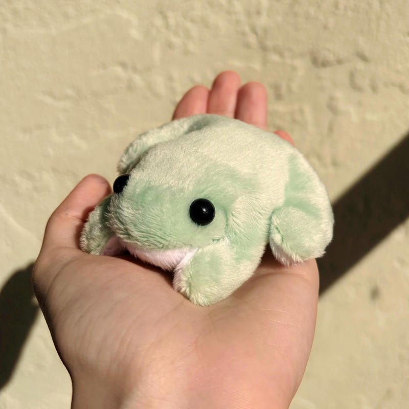 Frog Plush - Etsy
