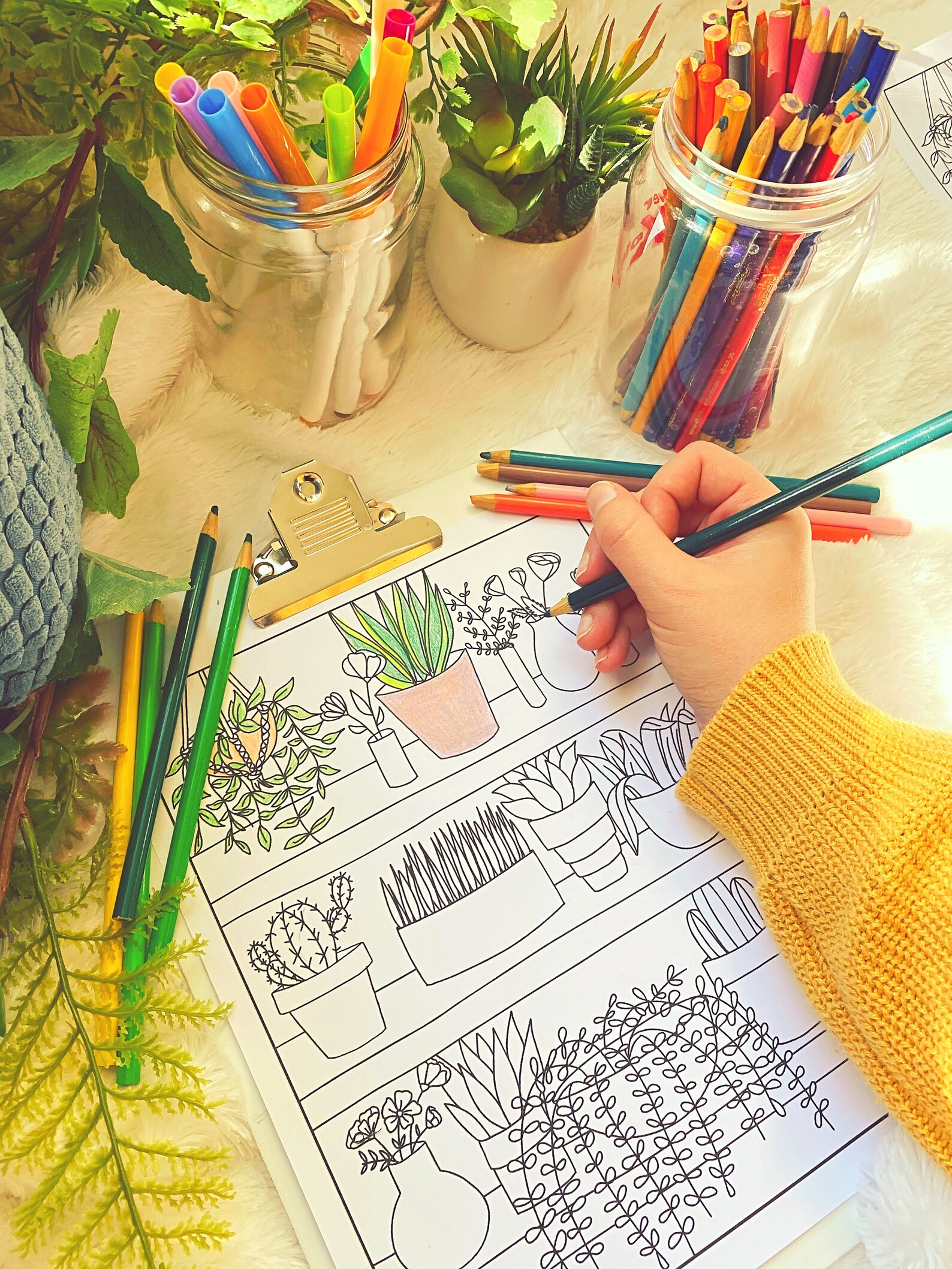 Potted Plants Printable Coloring Page With a Variety of - Etsy