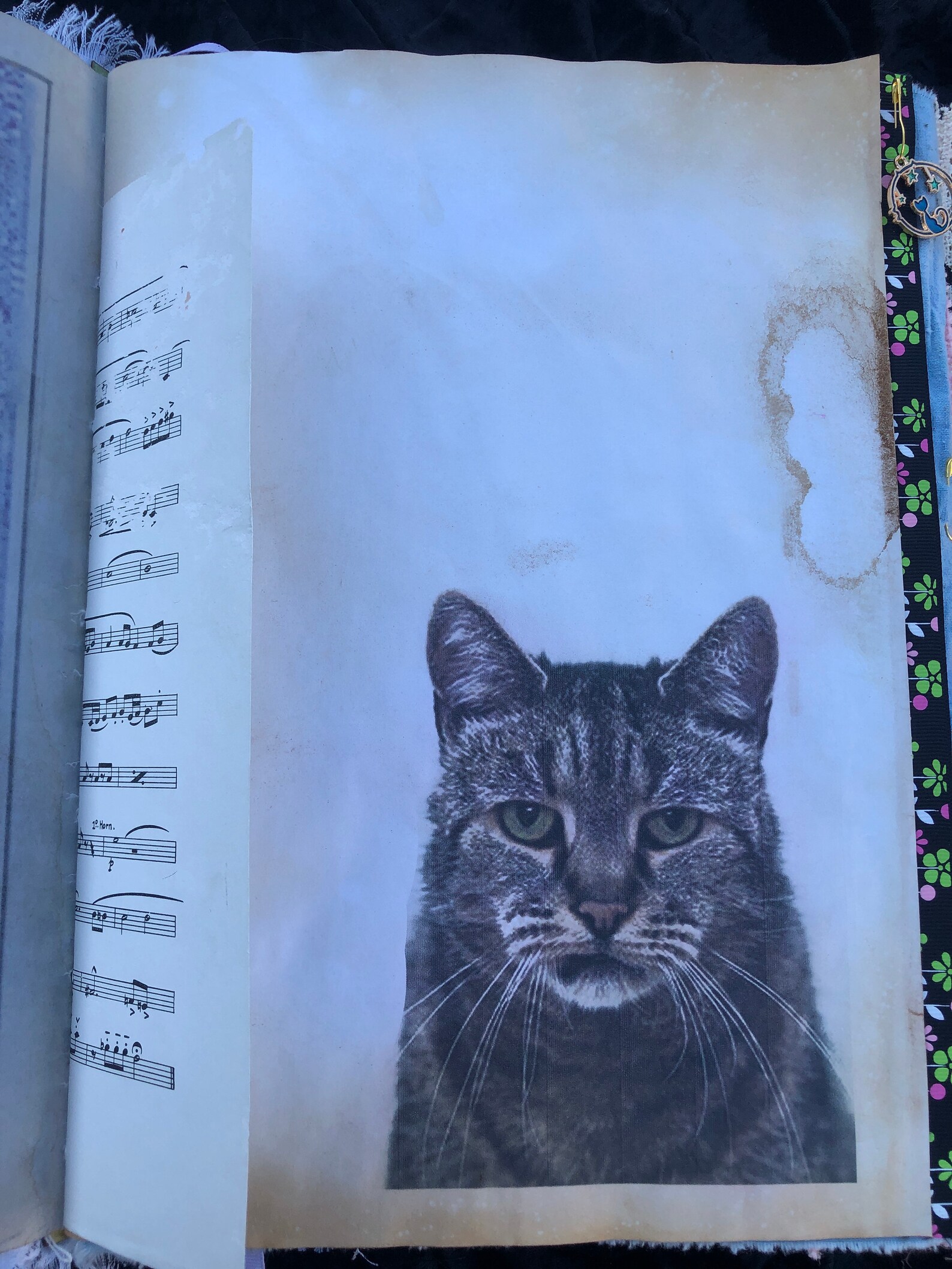 The Giant Magic Book of Moggies Hand Made Junk Journal for Cat Lovers ...