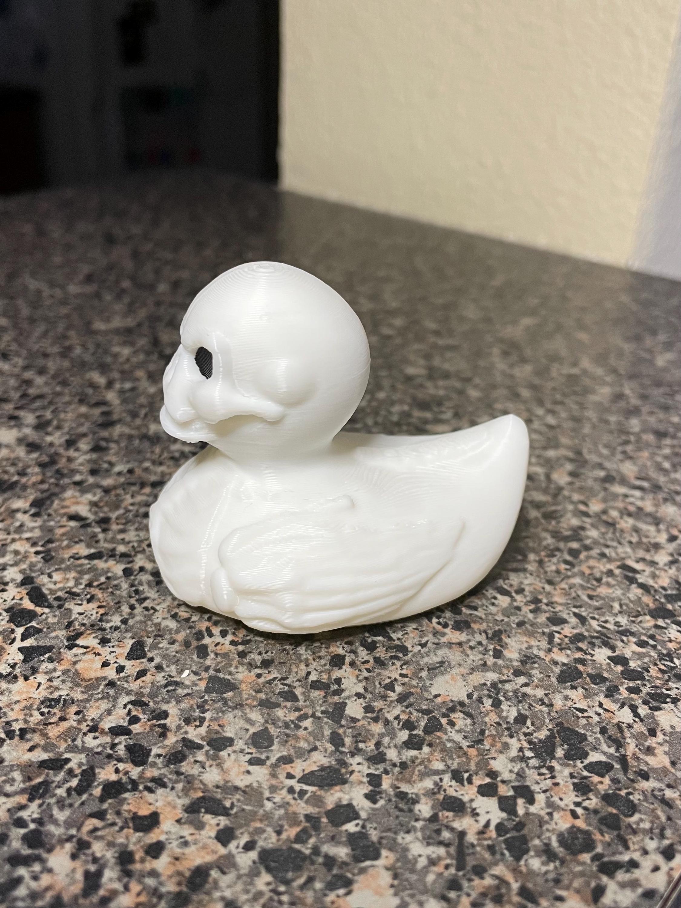Skeleton Duck - Etsy