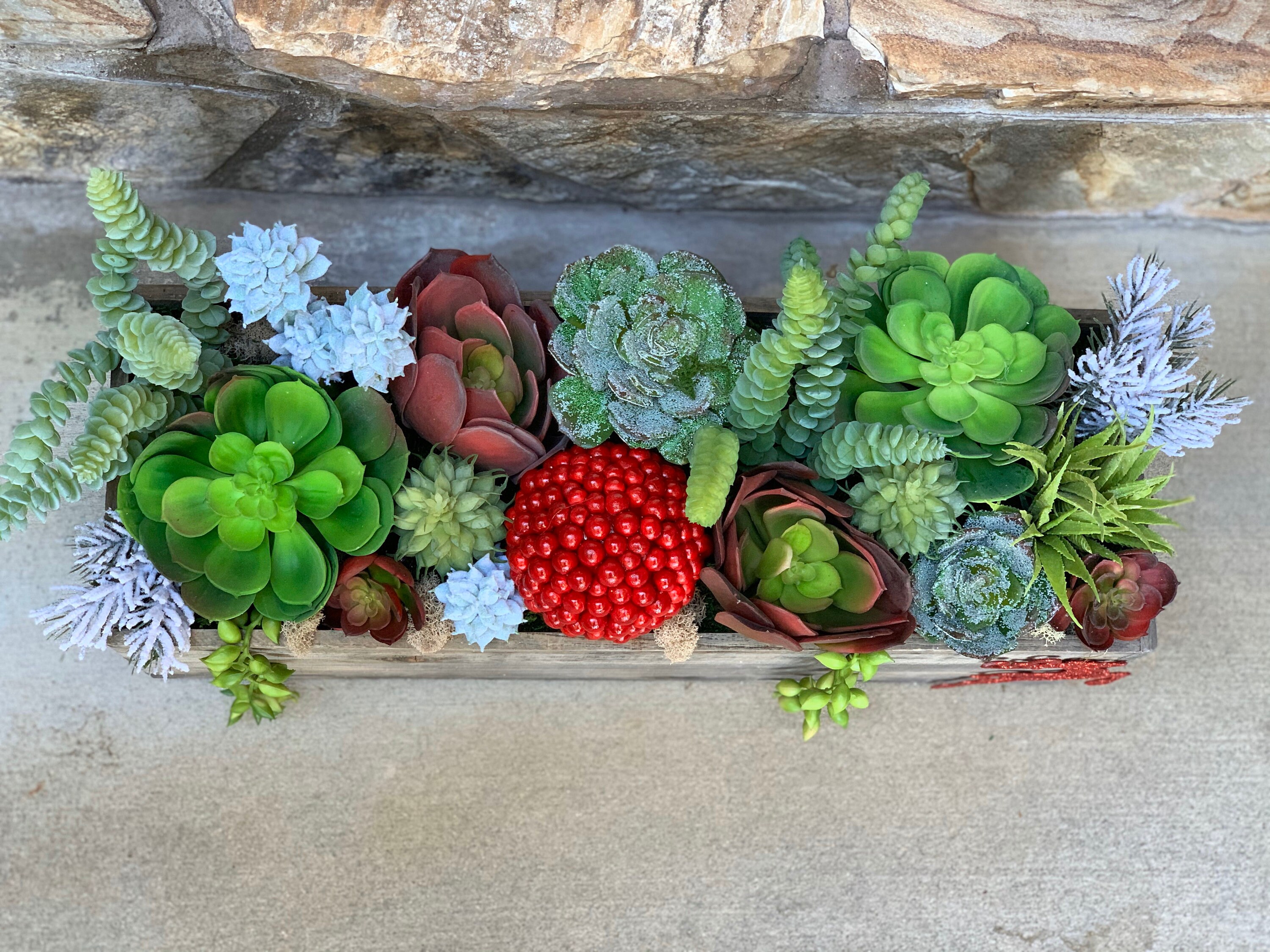Christmas Succulent - Etsy