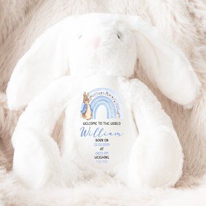 Personalised Bunny Rabbit, New Baby Gift, Personalised Plush Soft Toy ...