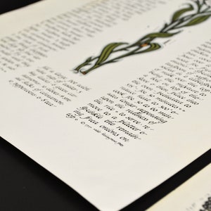 David Goines Art Lithograph Chez Panisse Alice Waters Recipe - Etsy