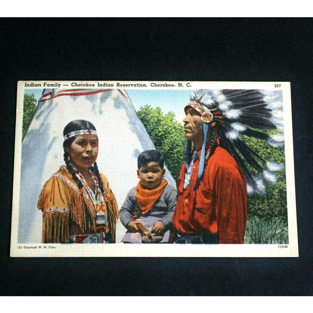 Vintage Linen Postcard Native American Indian Family Portrait Cherokee ...