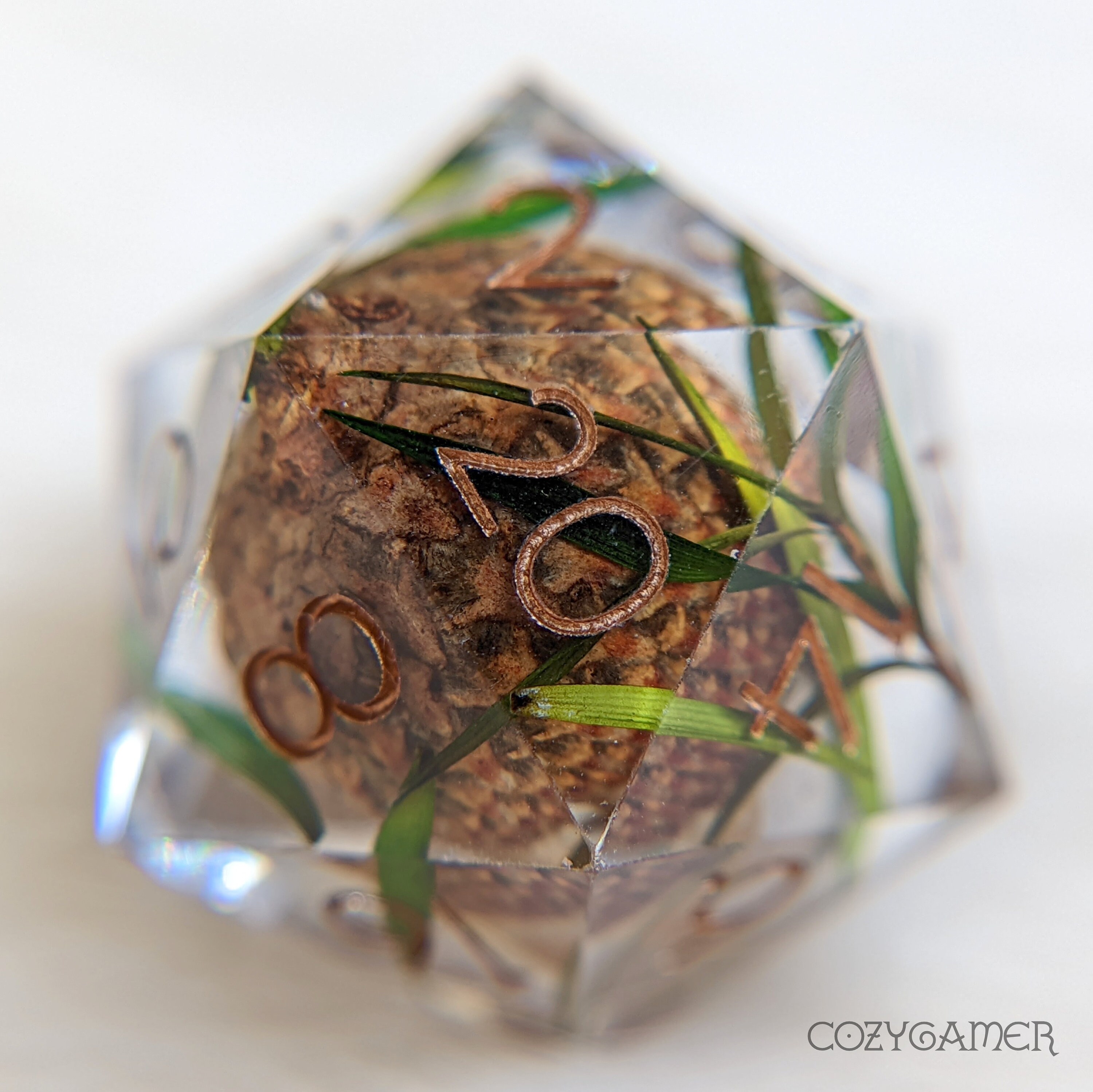 Acorn Dnd Dice Set D&D Dice Sharp Edge Dice Dungeons and - Etsy UK