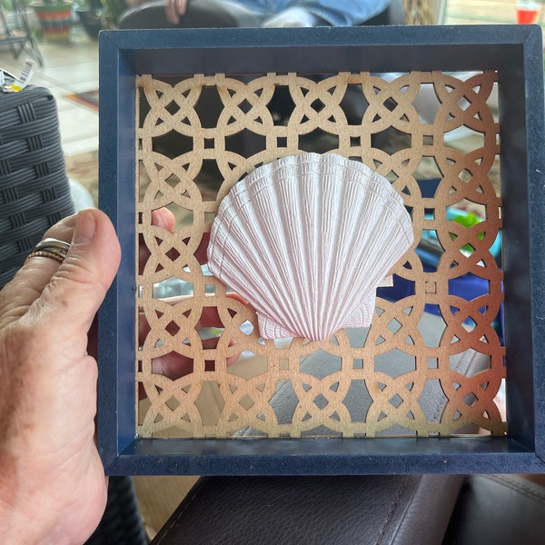 Shell Wall Decor - Etsy