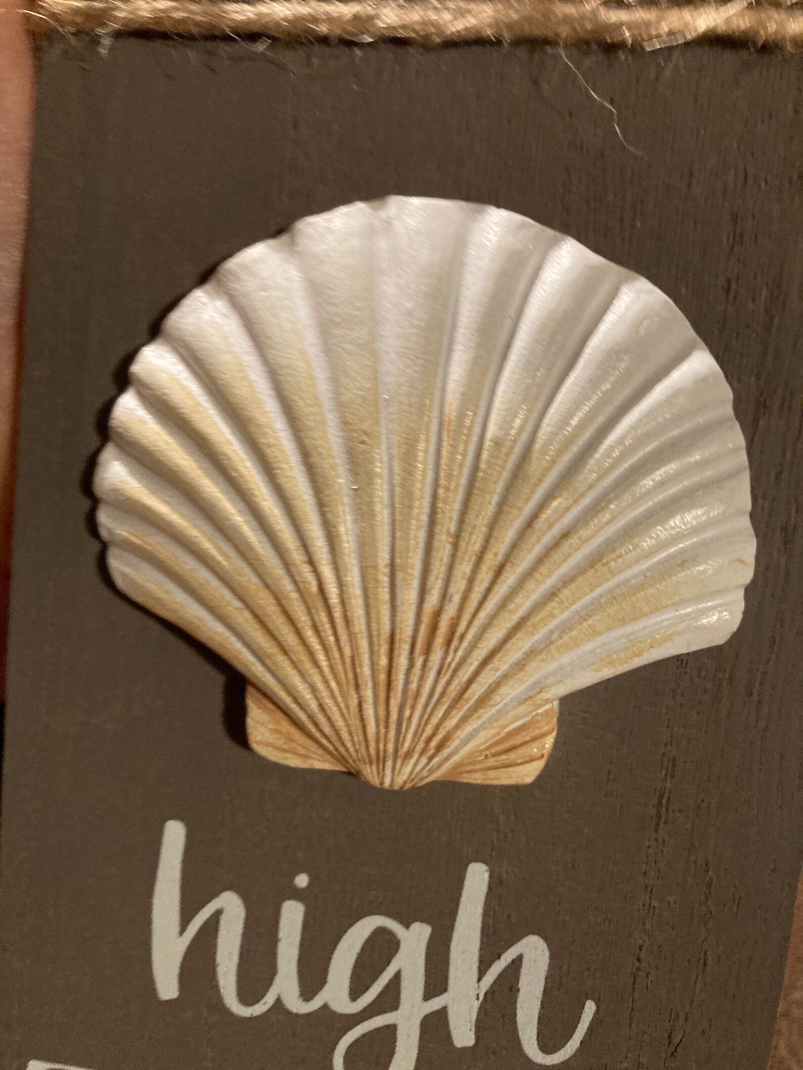 Sea Shell Door Hanger or Wall Decorexcellent - Etsy