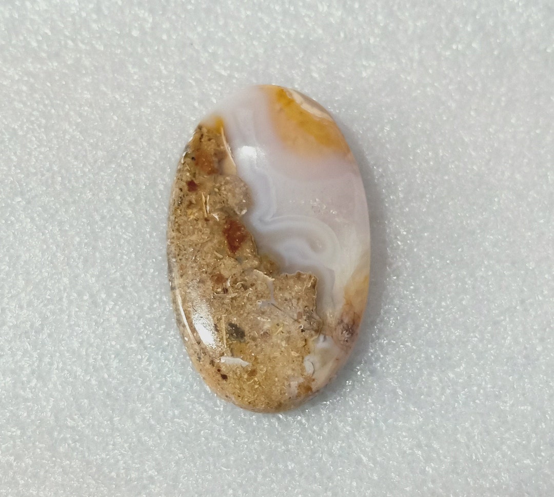 Gastropod snail Shell Fossil Cabochon, Loose Gemstone, Jewel Making ...