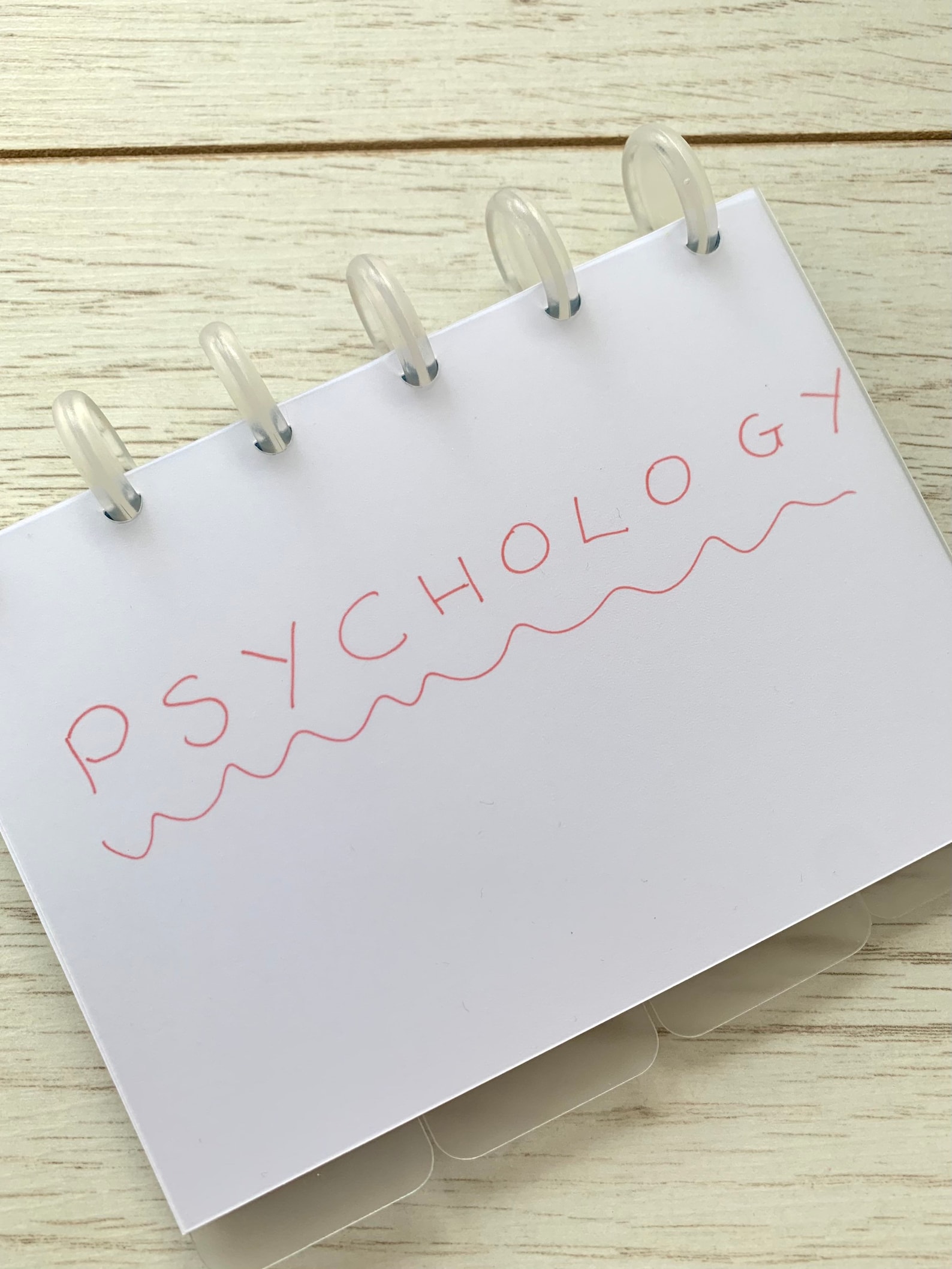 A6 Discbound Revision Card Bundle A6 Exam Revision Cards - Etsy UK