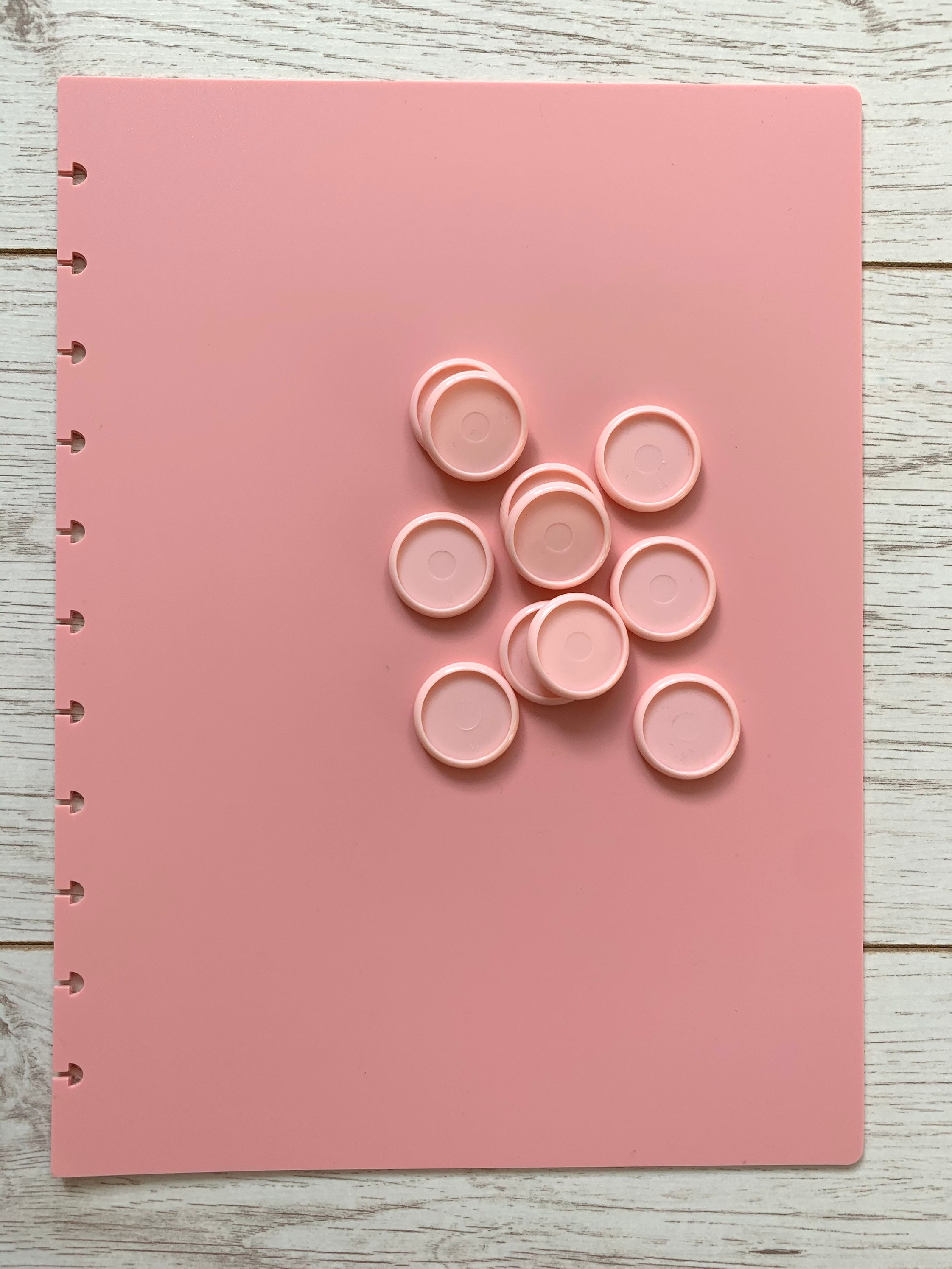 Pastel Pink A4 Wide Discbound Planner Cover Kit Pink A4 - Etsy UK