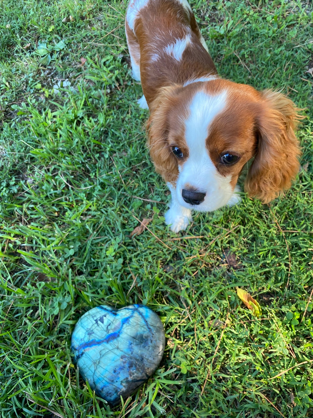 Pebbles Picks Mystery Crystals - Etsy
