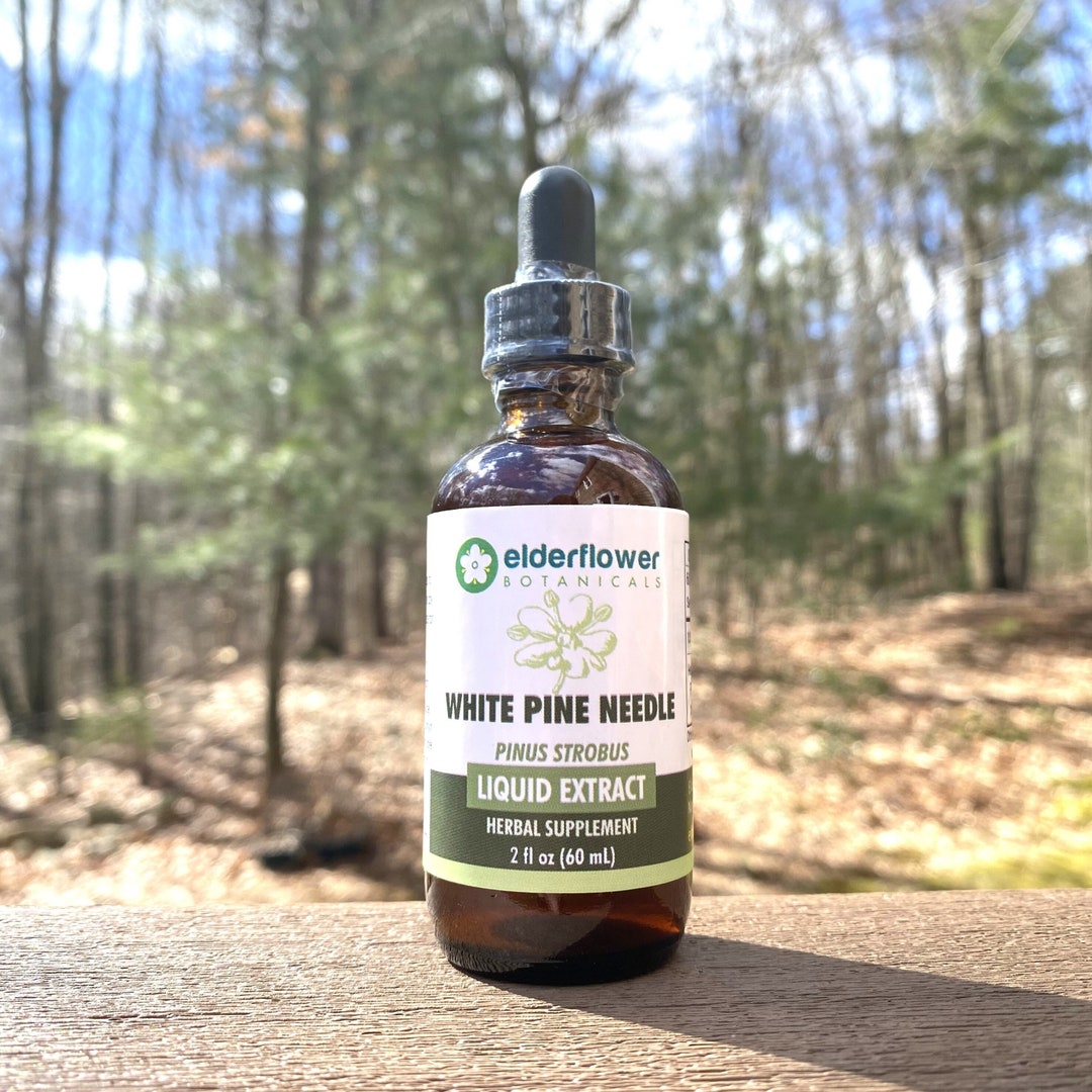 White Pine Needle Extract | Shikimic Acid | Organic Tincture | Pinus Strobus - Etsy